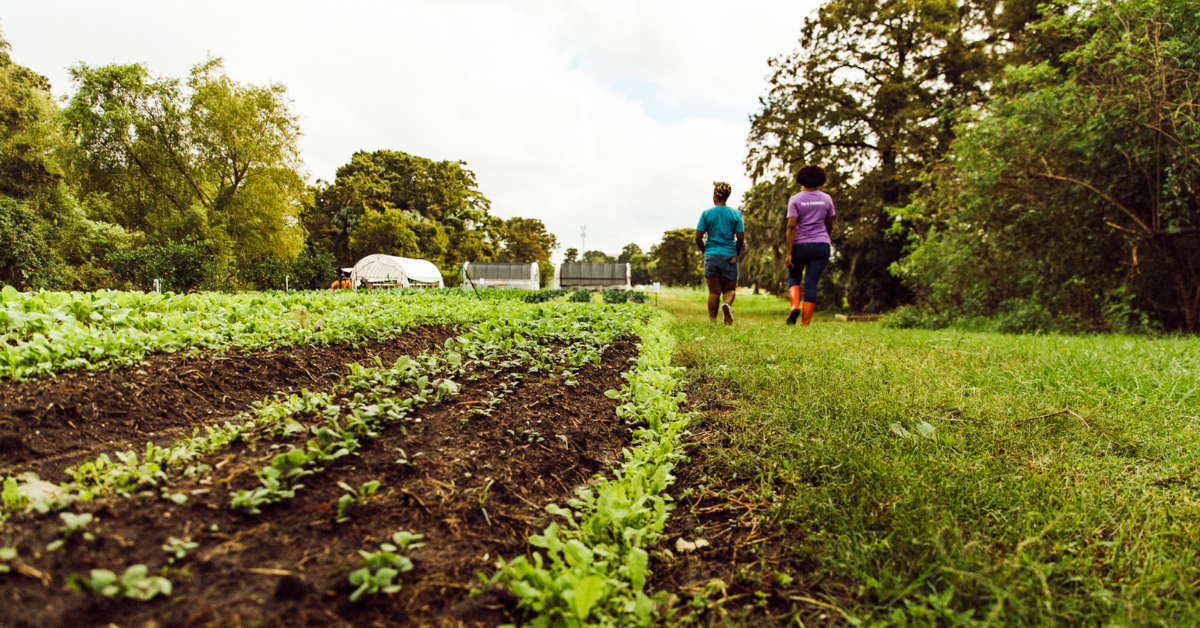 Farm to Early Care and Education Partner Toolkit | Every Child Thrives