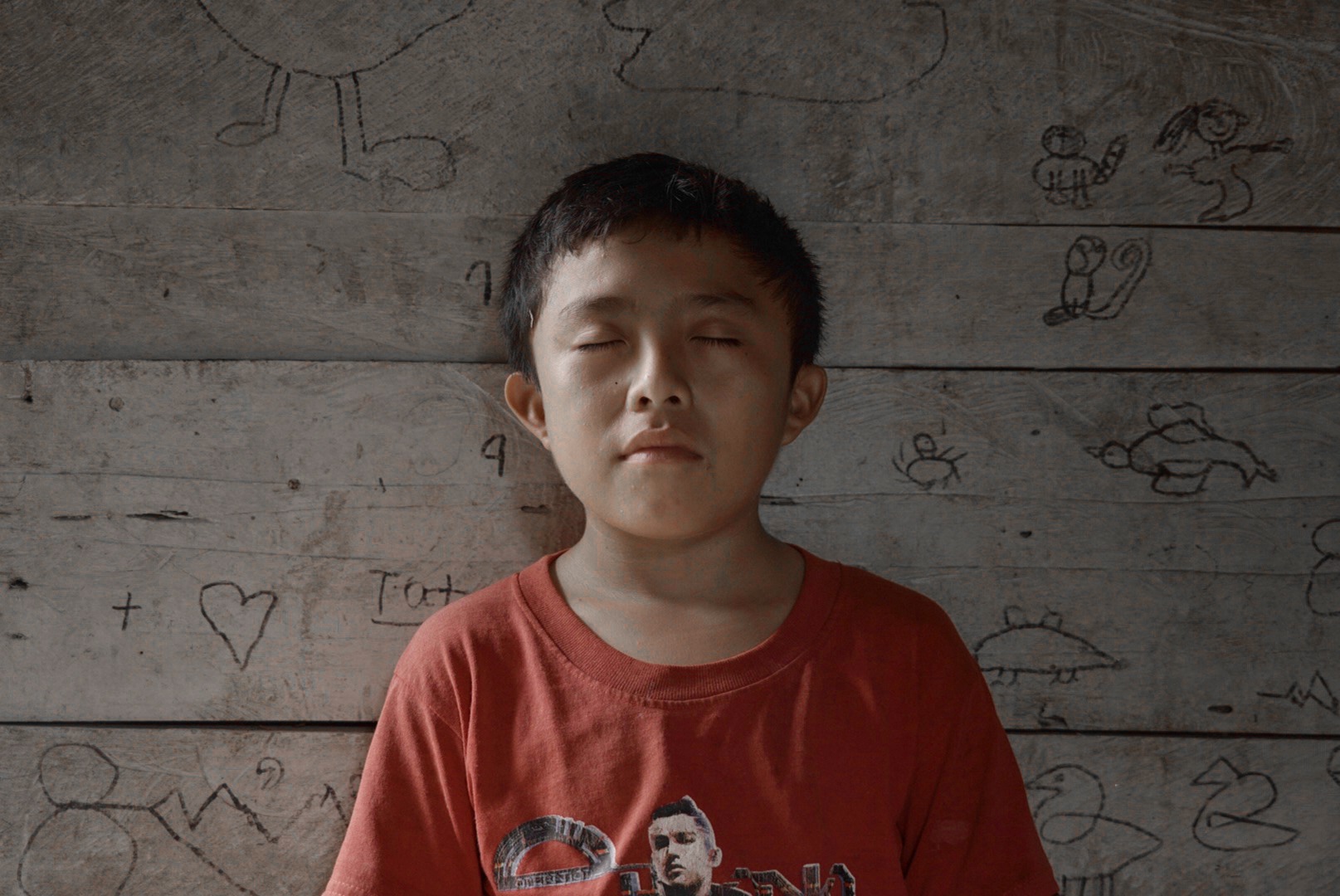 A lost dog and a nightingale’s song to save the Mayan language | Every ...