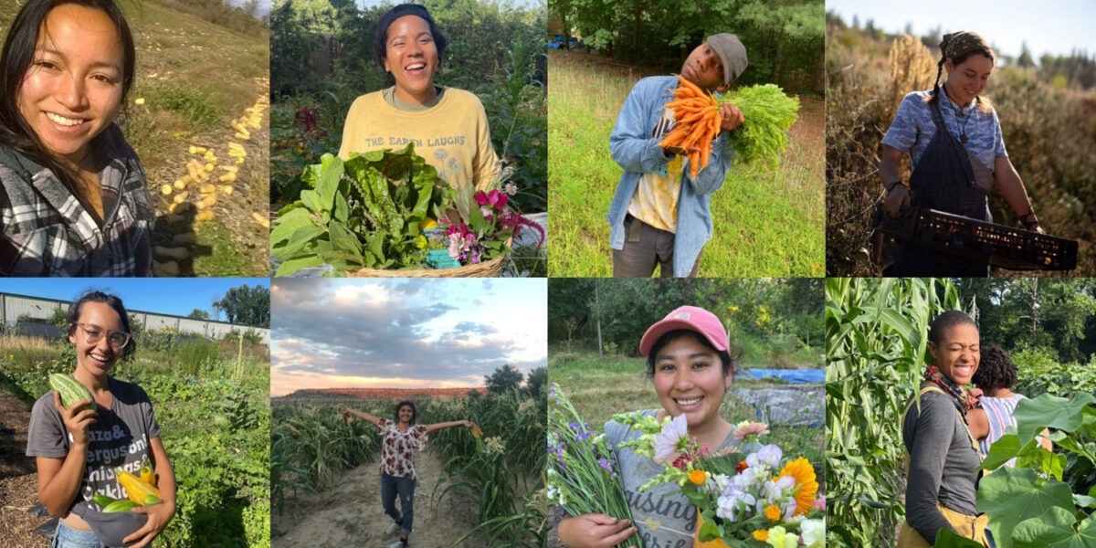 How the National Young Farmers Coalition is envisioning a more just ...